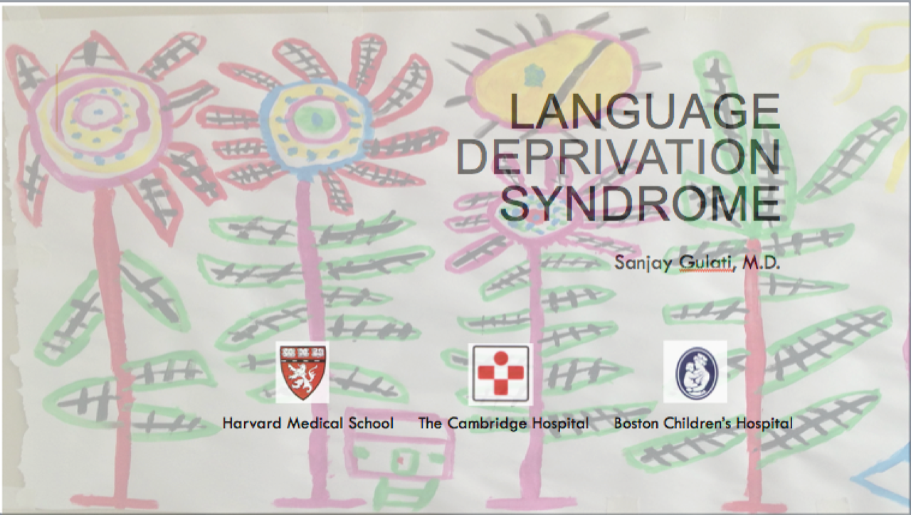 Language Deprivation Syndrome: How Language Creates the Mind | ASLIS