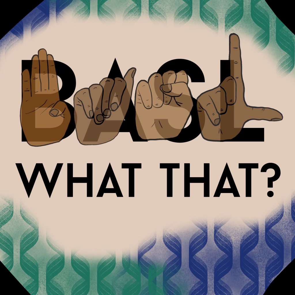 BASL, WHAT THAT? | ASLIS